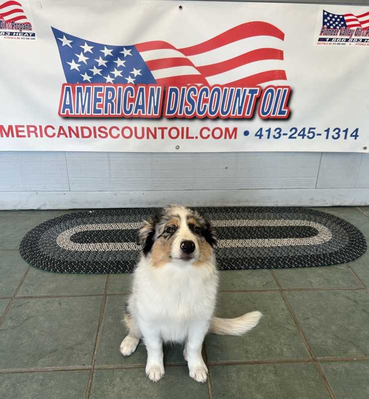 American Discount Oil